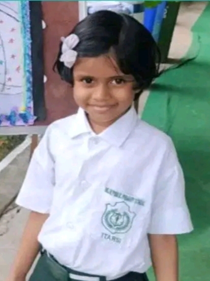 DELHI PUBLIC PRIMARY SCHOOL ITARSI